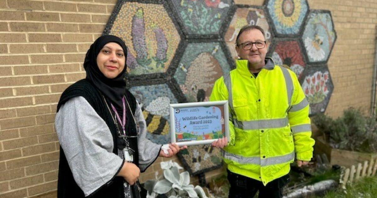 Dixons Marchbank Primary | Wildlife gardening award for Dixons…